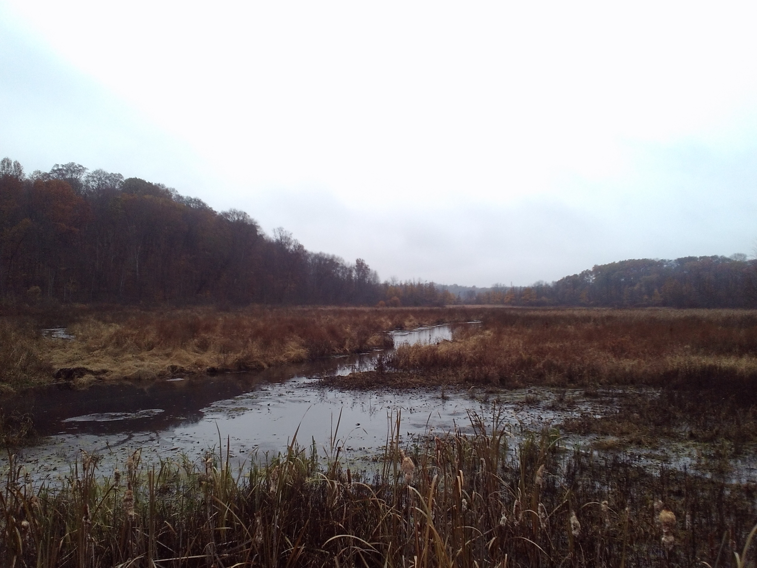 Late Autumn on the Prairie Fen, Peninsula Drive | Camp Friedenswald