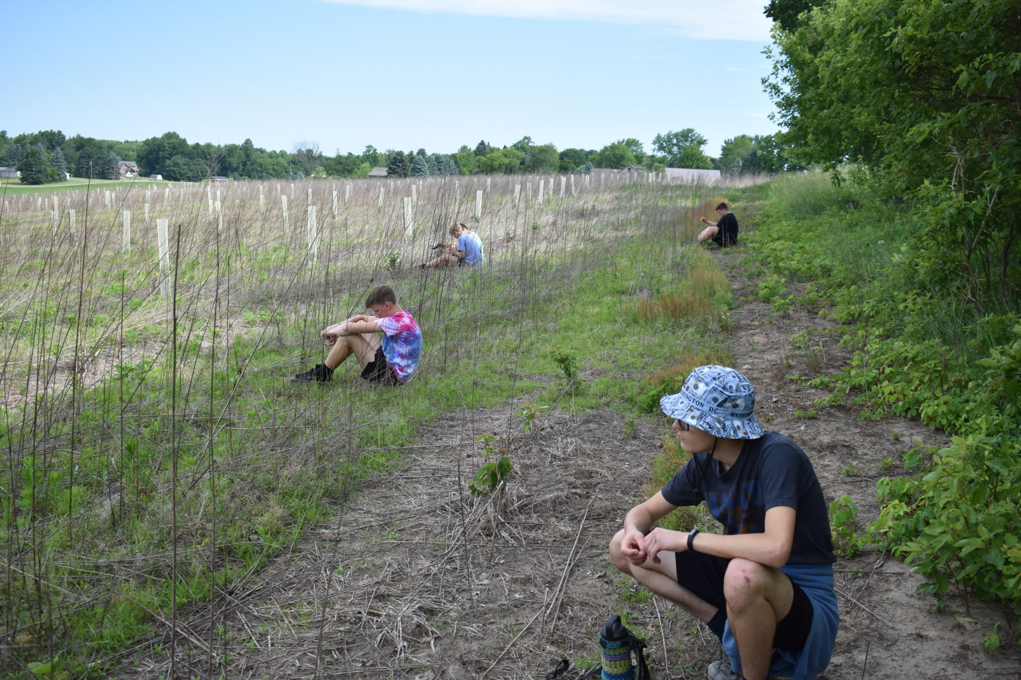 Summer 2025: Wisdom of Trees | Camp Friedenswald