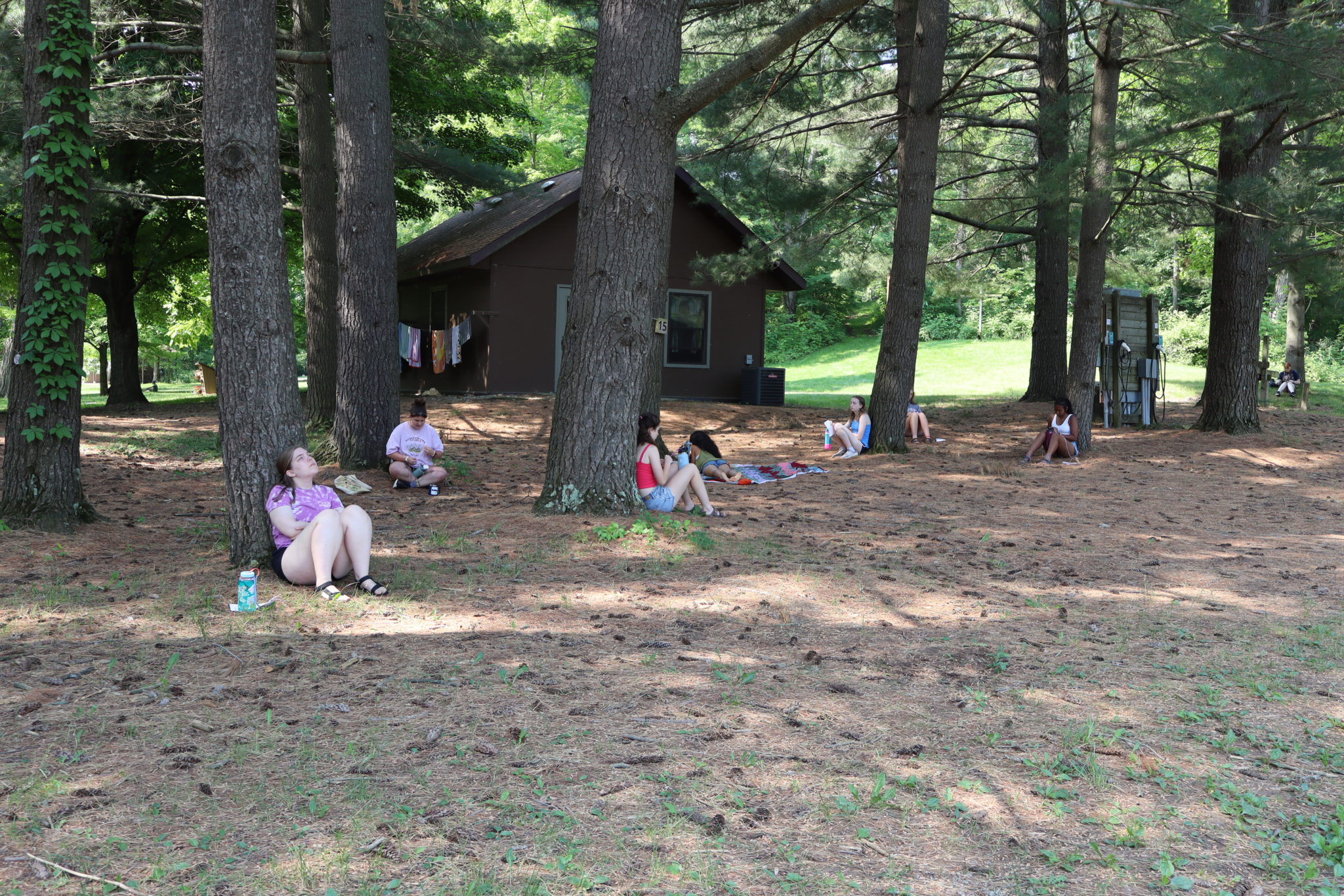 Reflection on a summer among the trees | Camp Friedenswald